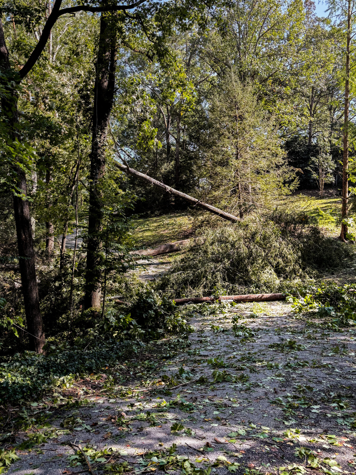 Disaster Relief Resources - CommunityWorks Carolina